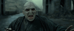 Voldemort And Harry Potter Fighting GIF | GIFDB.com