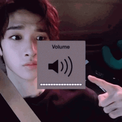 Volume Down Quiet GIF | GIFDB.com