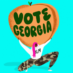 Vote Georgia Election GIF | GIFDB.com