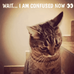 Wait Im Confused Now GIF | GIFDB.com
