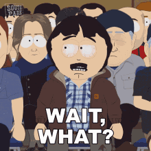 Wait What Randy Marsh GIF | GIFDB.com