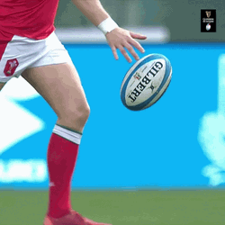 Wales Rugby Punt Kick GIF | GIFDB.com