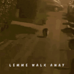 Walk Away Chubby Cat GIF | GIFDB.com