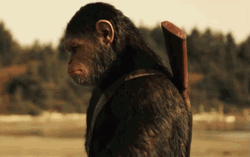 Walking Caesar Brings Weapon GIF | GIFDB.com