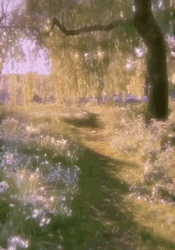 Walking In Aesthetic Cottagecore GIF | GIFDB.com