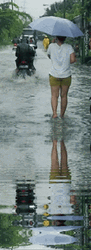 Walking In The Flooding GIF | GIFDB.com