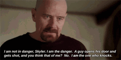 Breaking Bad Meme Skyler