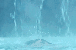 Waterfall Swimming Good Time Gorgeous Men GIF | GIFDB.com