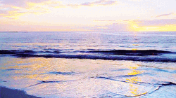 Beach Hawaii Waves Viewing GIF | GIFDB.com