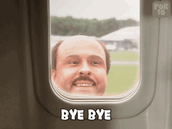 Waving Goodbye On Plane Window GIF | GIFDB.com