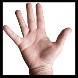 Waving Hand Playing Counting GIF | GIFDB.com