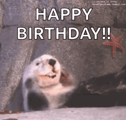 Waving Otter Funny Happy Birthday Meme GIF | GIFDB.com