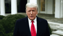 Donald Trump We Love You GIF | GIFDB.com
