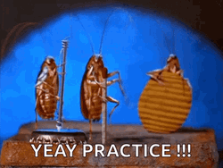 We Talking About Practice Cockroach Band GIF | GIFDB.com