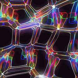 Web-like Colorful Optical Illusion GIF | GIFDB.com