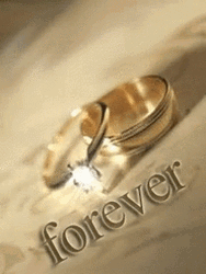 Wedding Rings Forever GIF | GIFDB.com