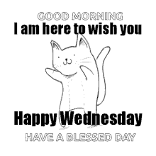 Wednesday Blessings Good Morning Cat Dance GIF | GIFDB.com
