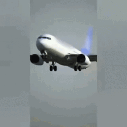 Weird Plane Legs Landing GIF | GIFDB.com