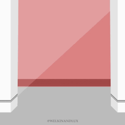 Cats Welcome Home GIF | GIFDB.com