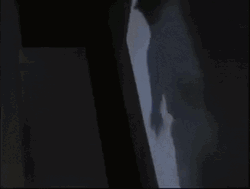 Werewolf Jumping Night Shadow GIF | GIFDB.com