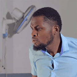 What Did He Say Meme GIFs | GIFDB.com