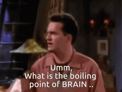 What Is The Boiling Point Of Fried Brain GIF | GIFDB.com