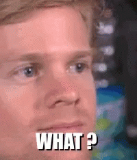 Drew Scanlon What Meme GIF | GIFDB.com