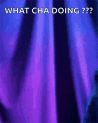 Whatcha Doin Cookie Monster GIF | GIFDB.com