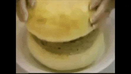 Where's The Beef On The Bun GIF | GIFDB.com