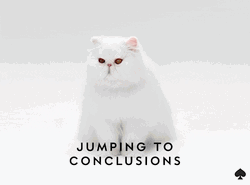 White Cat Jumping On Conclusion GIF | GIFDB.com
