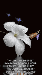 White Flower Thinking Of You Sympathy GIF | GIFDB.com