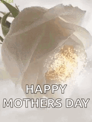 White Rose Animation Happy Mother Day GIF | GIFDB.com