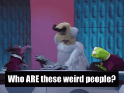 Who Are You People Muppets Gonzo GIF | GIFDB.com