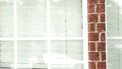 Who Is That Peeking On Window GIF | GIFDB.com