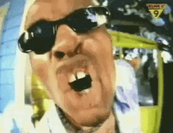 Who Let The Dogs Out GIFs | GIFDB.com