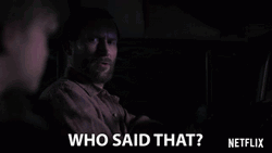 Who Said That Man Driving On A Car GIF | GIFDB.com