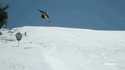 Whoop That Trick Got Fall GIF | GIFDB.com