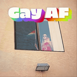 Why Are You Gay Seal Shouting Gay GIF | GIFDB.com