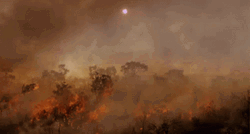 Wildfire Smokey Forest Dark Clouds Above GIF | GIFDB.com
