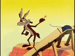 Wile E Coyote Crushed By Boulder GIF | GIFDB.com
