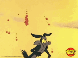 Wile E Coyote Falling Rocks GIF | GIFDB.com