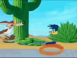 Wile E Coyote Sad Chasing Road Runner GIF | GIFDB.com