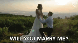 Will You Marry Me Darling GIF | GIFDB.com