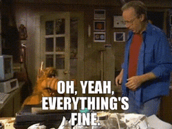 Willie Tanner Checking Alf Everything Is Fine GIF | GIFDB.com