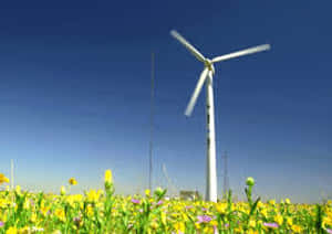 Wind Turbine Beautiful Scenery GIF | GIFDB.com