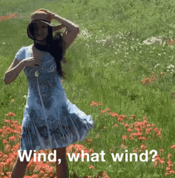 Windy In Flower Field GIF | GIFDB.com
