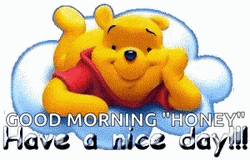 Good Morning Pooh