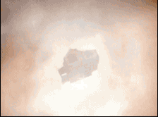 Wizard Of Oz Flying House Landing GIF | GIFDB.com