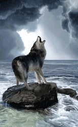 Wolf Howl Thunder Animation GIF | GIFDB.com