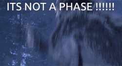 Wolf Howling It's Not A Phase GIF | GIFDB.com